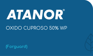 Albaugh Protección de cultivos - ATANOR | COPPER OXYCHLORIDE 84% WP ...
