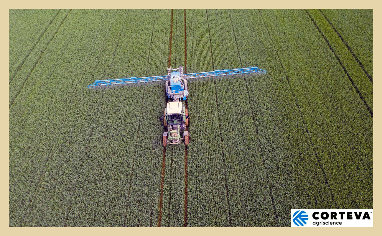 Home [www.albaugh.com]